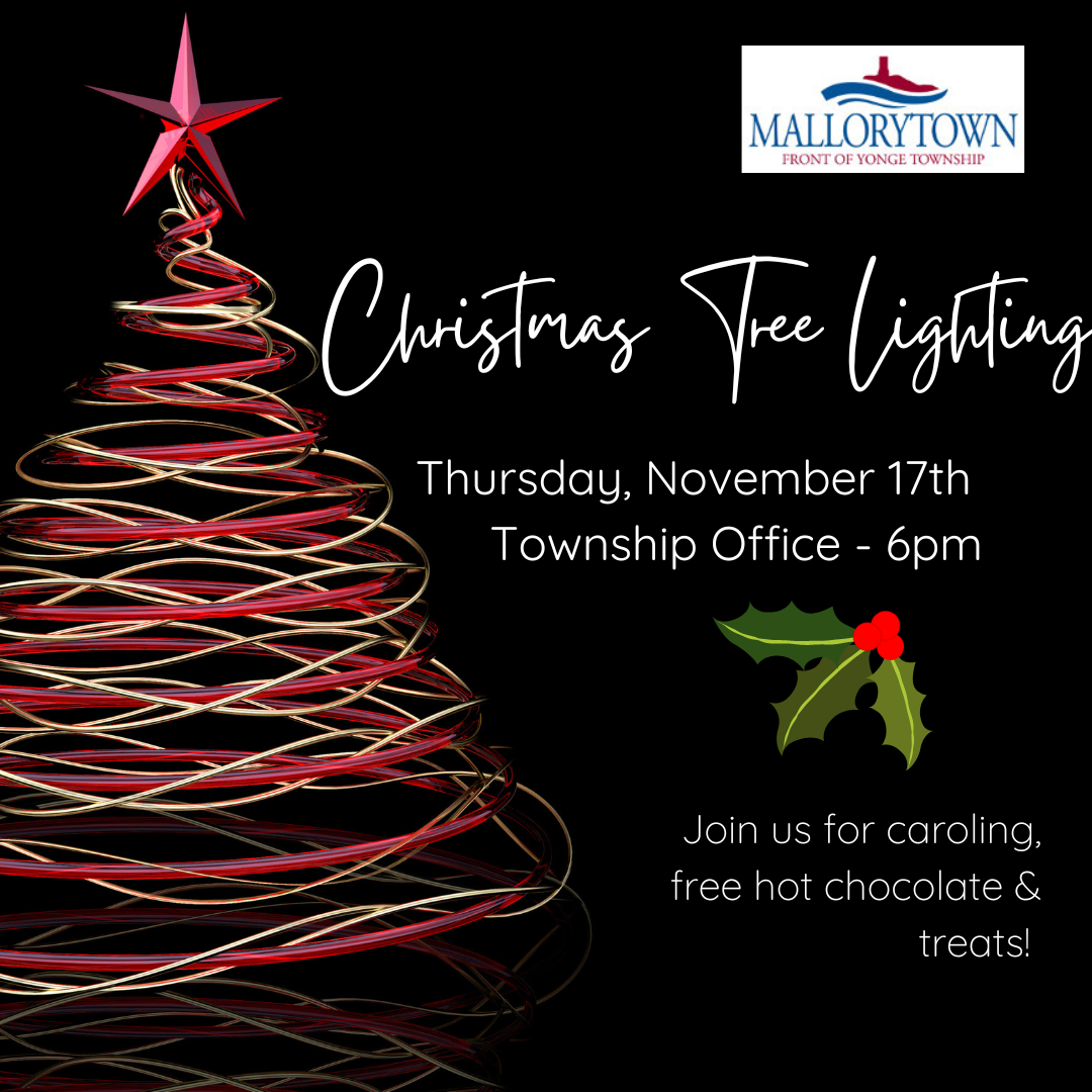 Christmas Tree Lighting